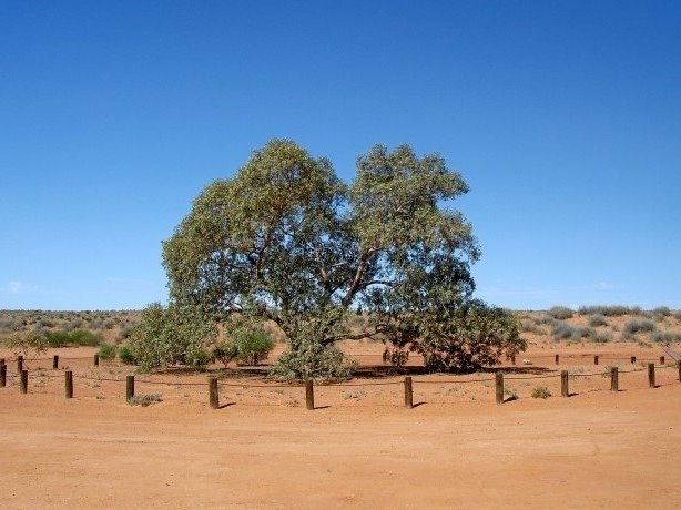 Simpson Desert – Path Across the Desert – GeoTripping